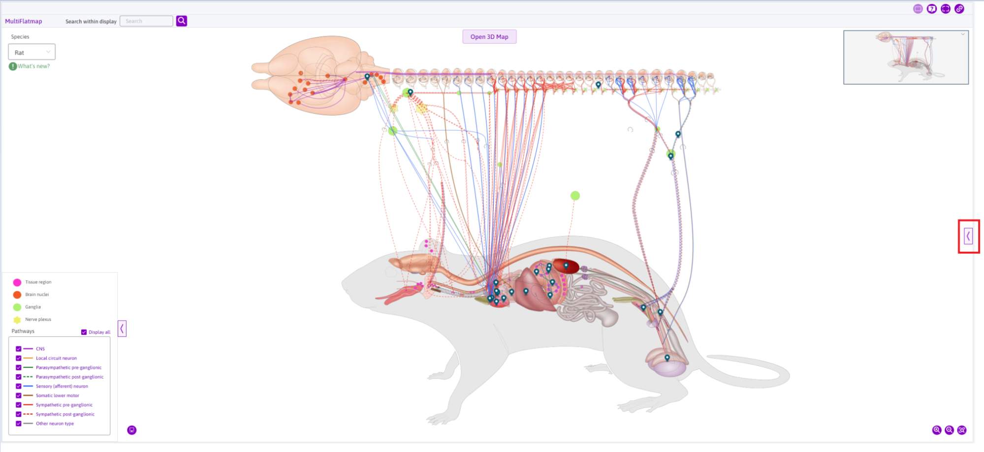 Working with Multiple Views in Maps