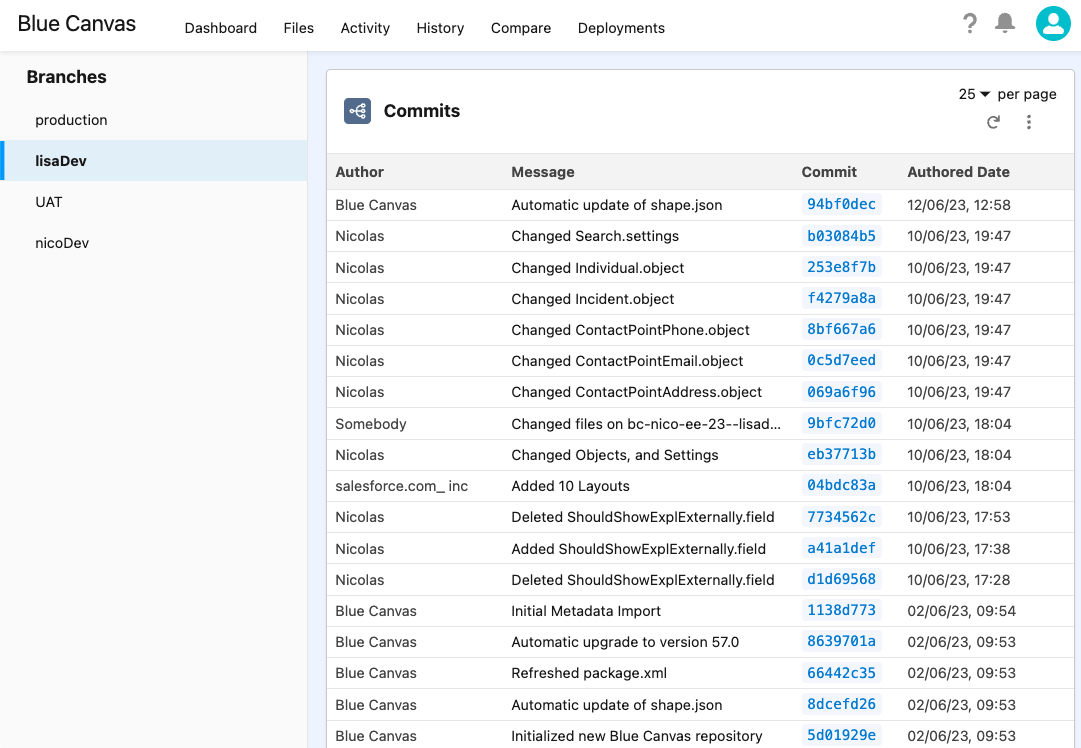 Salesforce Version Control in Blue Canvas