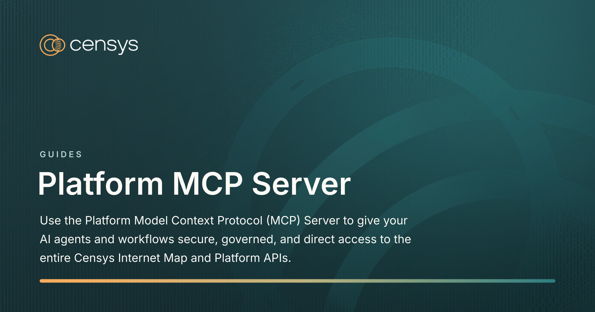 Platform MCP Server