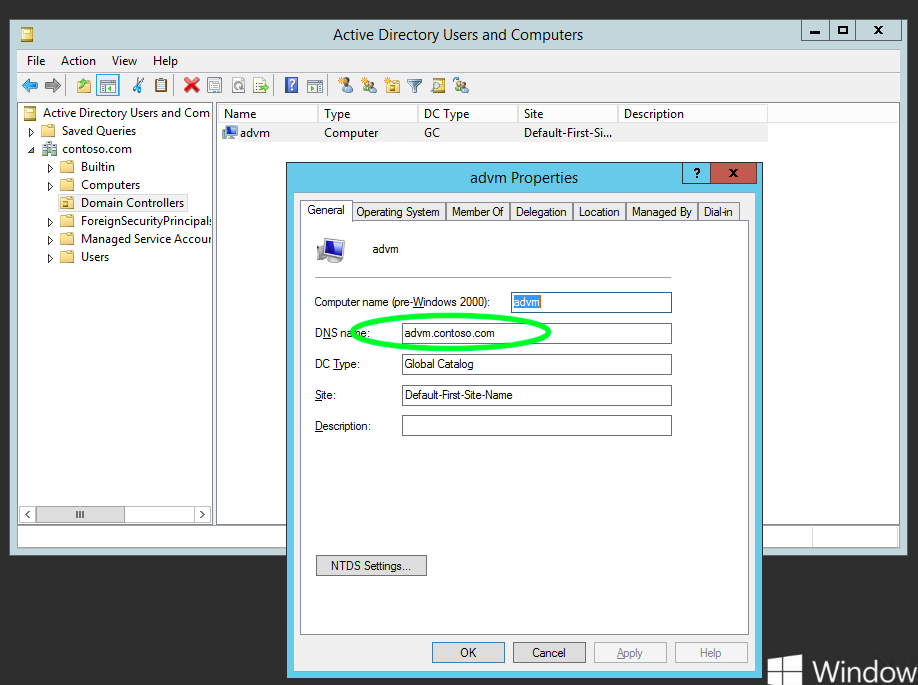Remote Access Domain